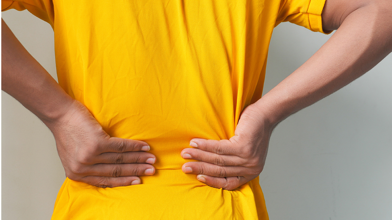 Successful Physical Therapy for Low Back and Elbow Pain - RxRehab ...